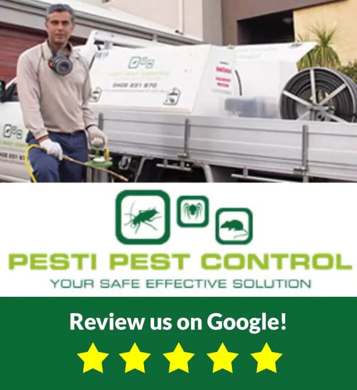Blog - Pesti Pest Control Perth Services